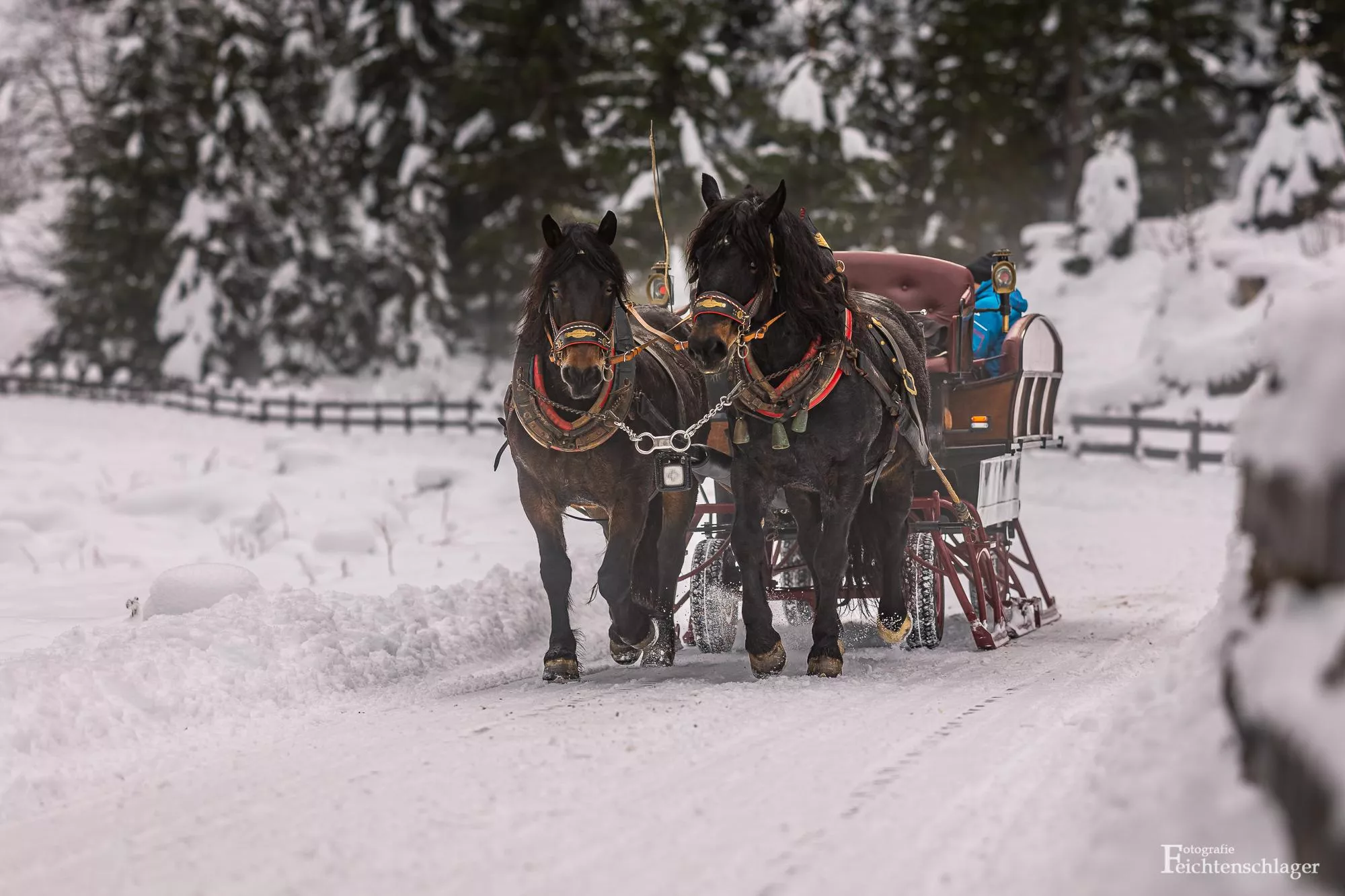 Horse-drawn sleigh ride Heunbauer: Romantic excursions